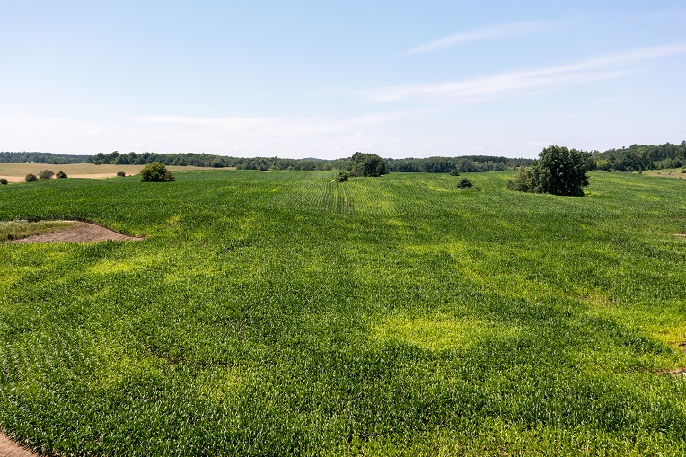 Durham gravel pit wins Ontario award for rehabilitation - Durham Post